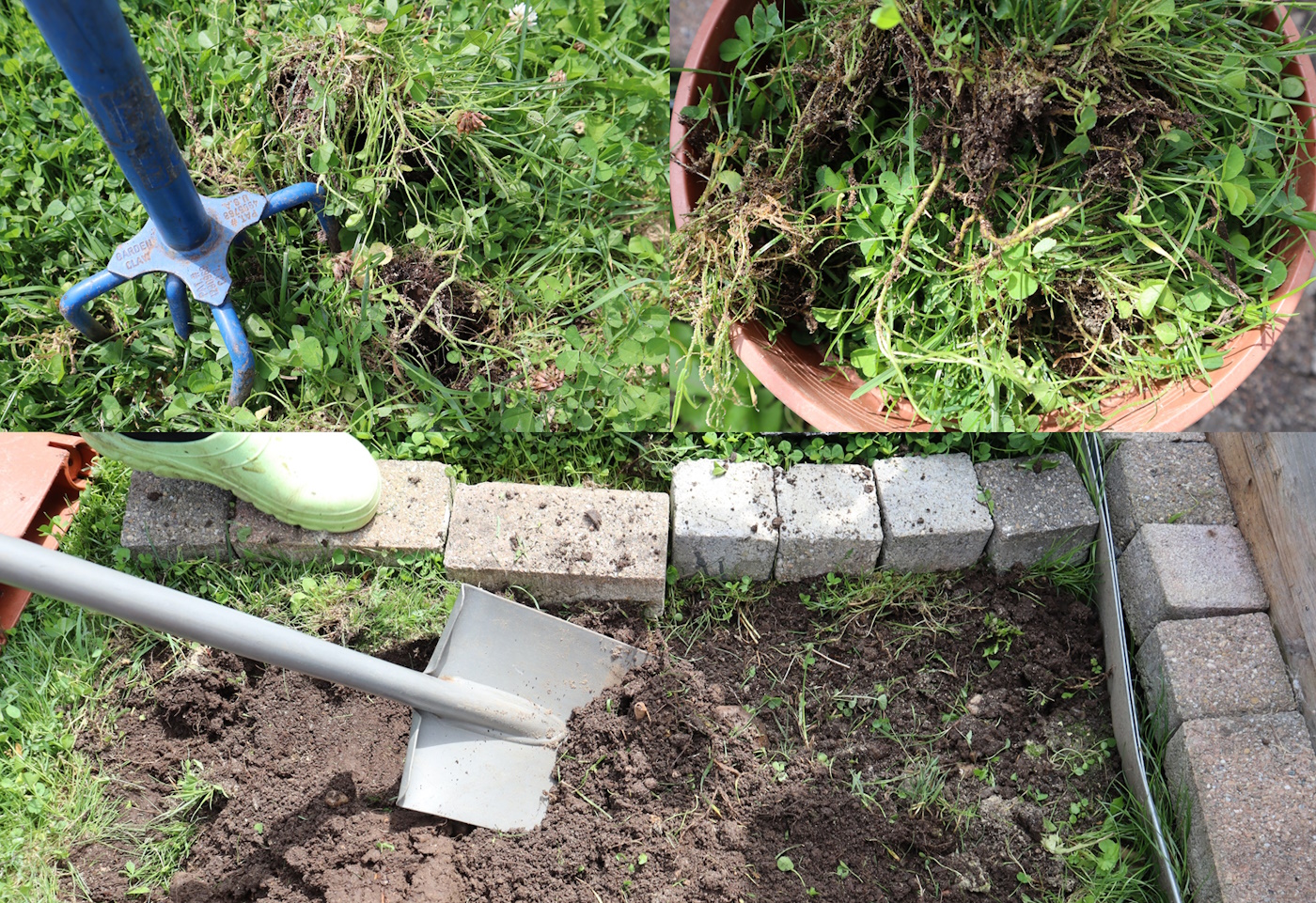 Klee im Garten bekämpfen - Maßnahmen, Vorbeugung & mehr