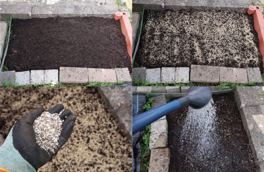 Klee im Garten bekämpfen - Maßnahmen, Vorbeugung & mehr